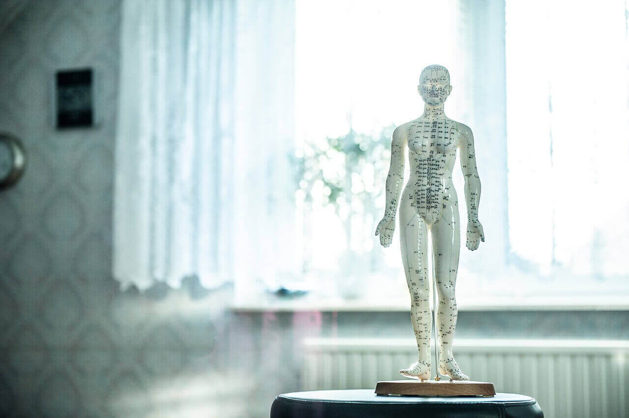 Osteopathy Meaning, 4 Techniques, How It Works, And Side Effects ...