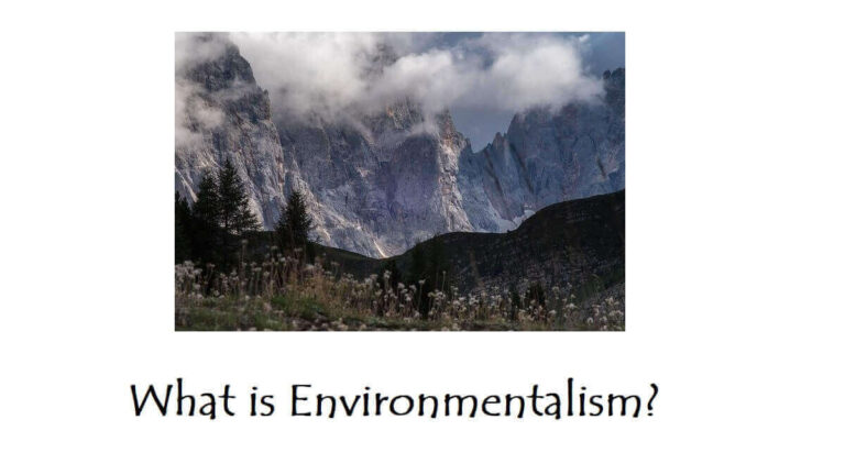 What Is Environmentalism: Definition, 2 Types, Examples, Benefits, And ...
