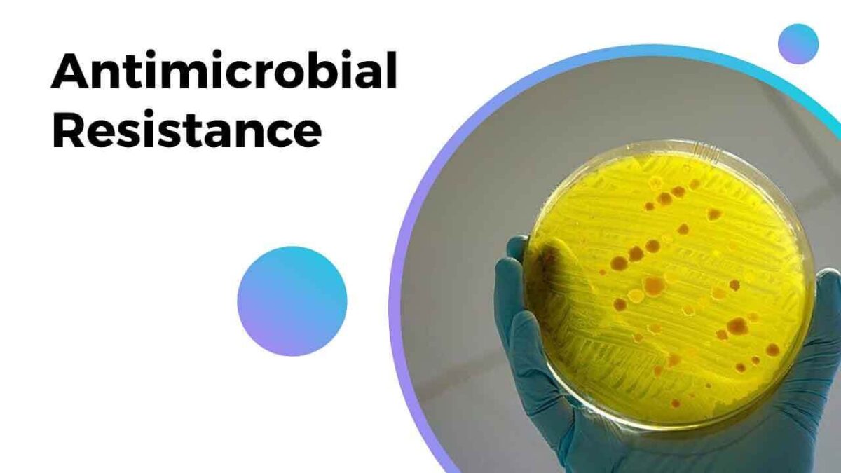 Antimicrobial Resistance: Causes, Effects, And Dangers » Health Beauty Idea